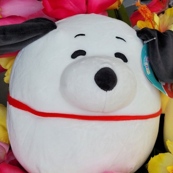 Squishmallows | Toys | Squishmallows Snoopy Woodstock 8 Peanuts 3d Nose ...
